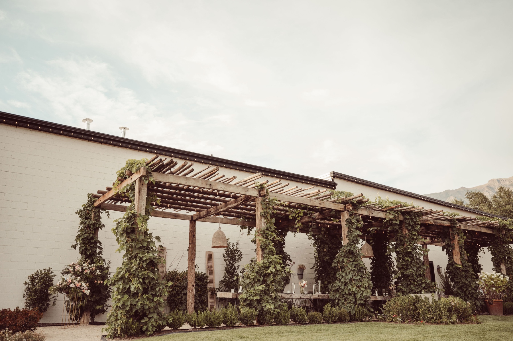 Gallery - The Wild Oak