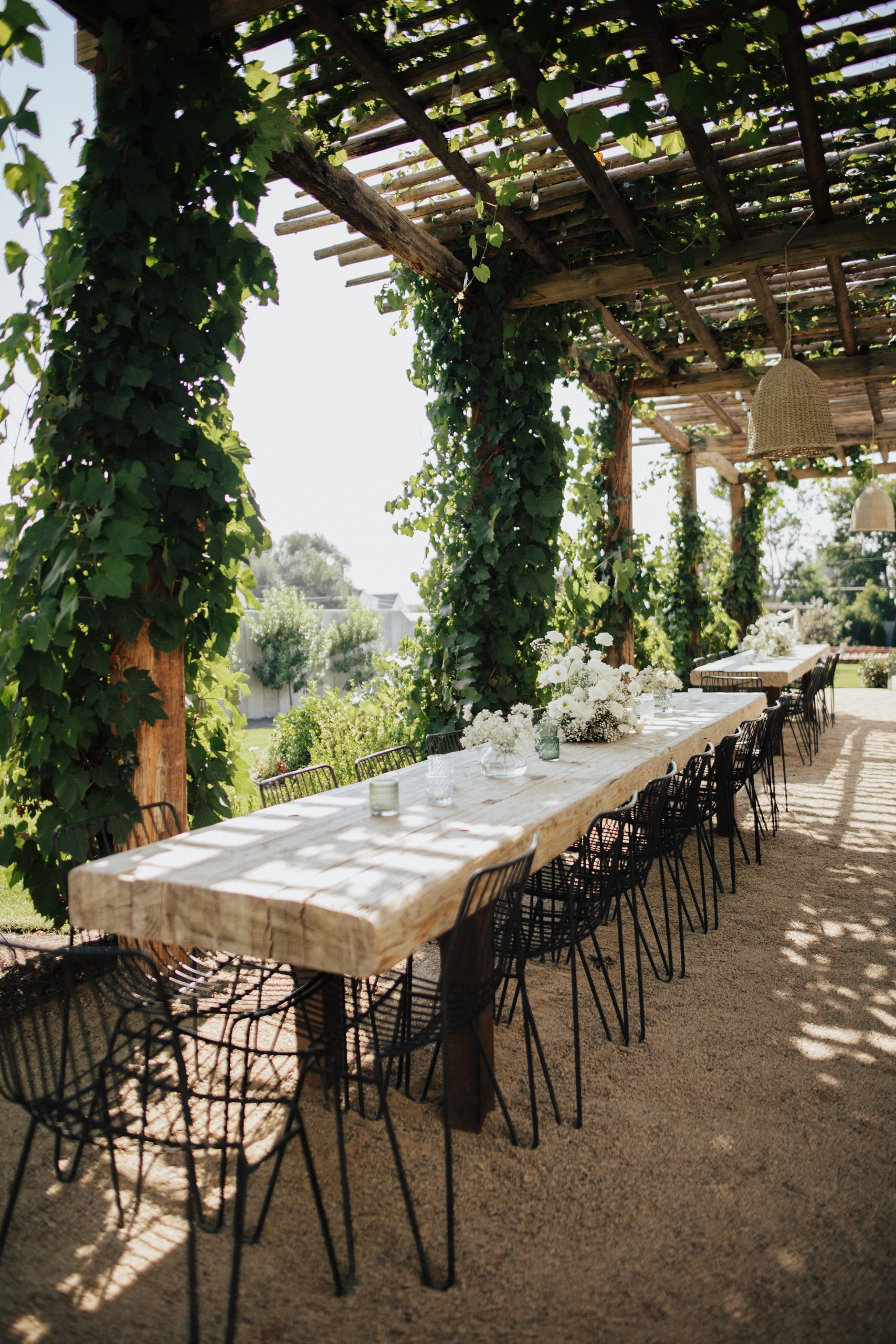 Venue - The Wild Oak