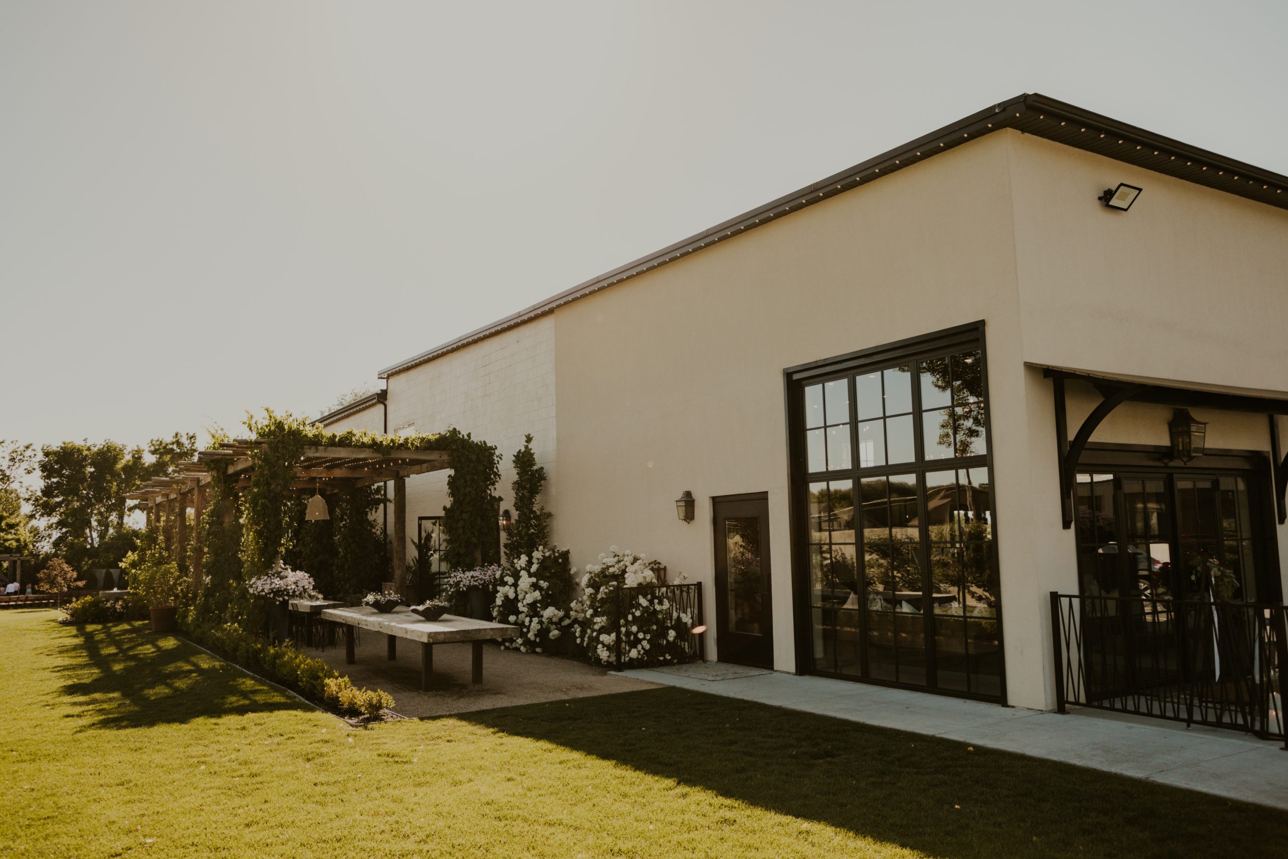 The Wild Oak - The Wild Oak